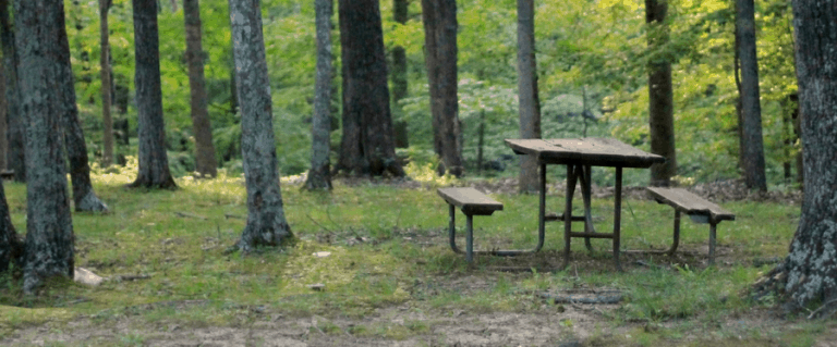 15 Fall Camping Tips For A Successful Trip